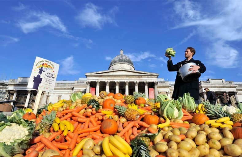 Waste The Global Food Scandal Daring Kitchen