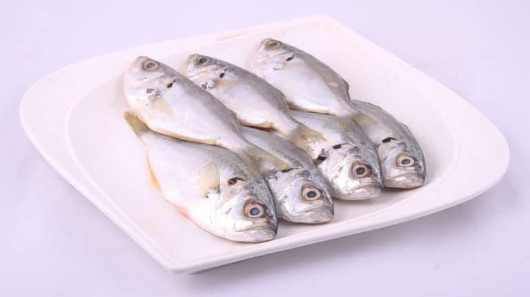 5 Easy Dashi Substitutes - Daring Kitchen