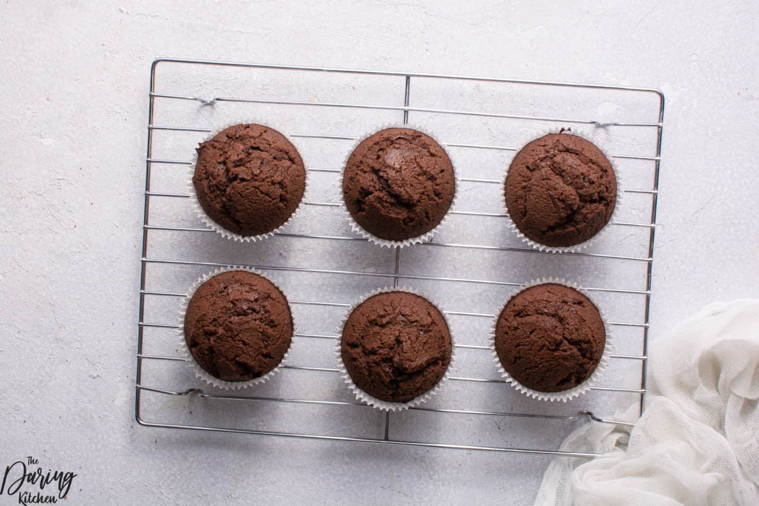 Chocolate Fudge Muffins - Daring Kitchen