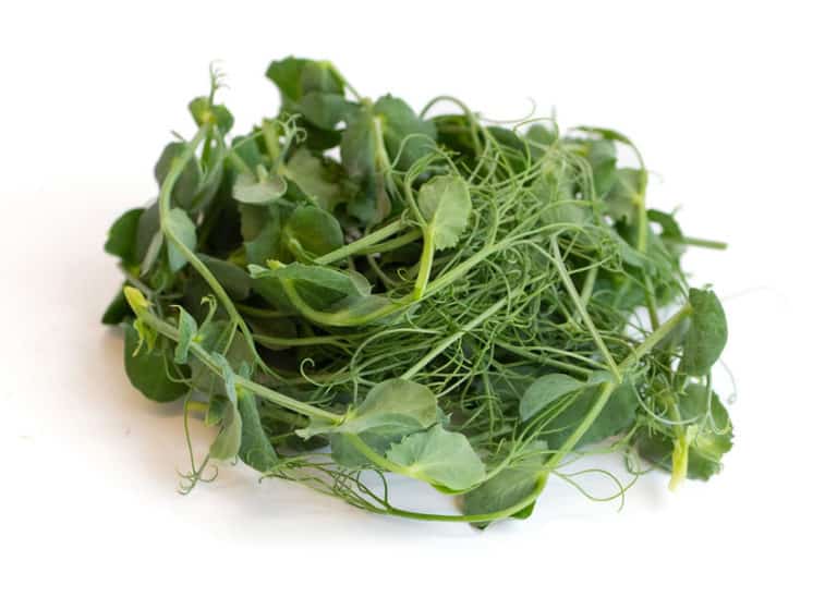 What Are the Different Types of Peas? - Daring Kitchen