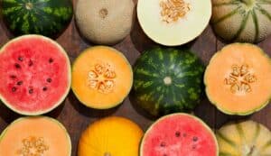 Types of Melons: A Comprehensive Guide! - Daring Kitchen
