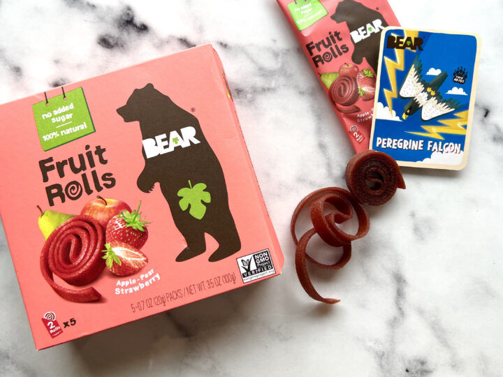 Best Fruit Snacks: 15 Brands, Tasted and Reviewed - Daring Kitchen